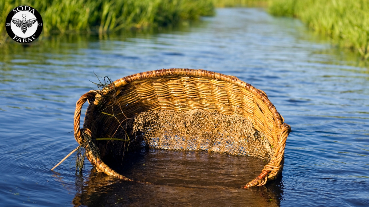 Moses' Mother and Freedom – Dawn Combs