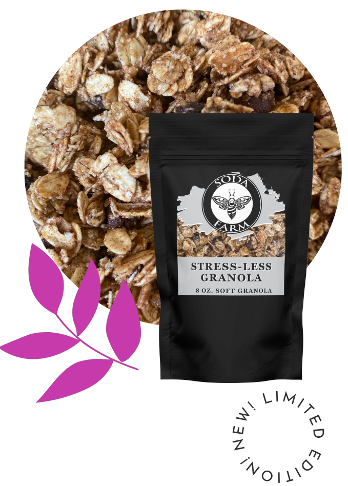Soda Farm Chocolate Blueberry Granola – Dawn Combs